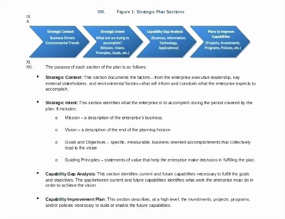 30 5 Year Strategic Plan Template Hamiltonplastering