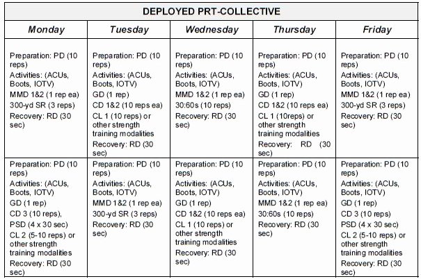 40 Army Pt Plan Template Hamiltonplastering