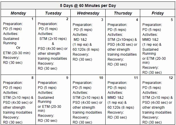 Army Pt Plan Template