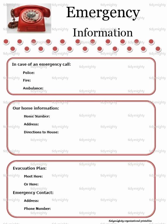 30 Daycare Emergency Preparedness Plan Template Hamiltonplastering