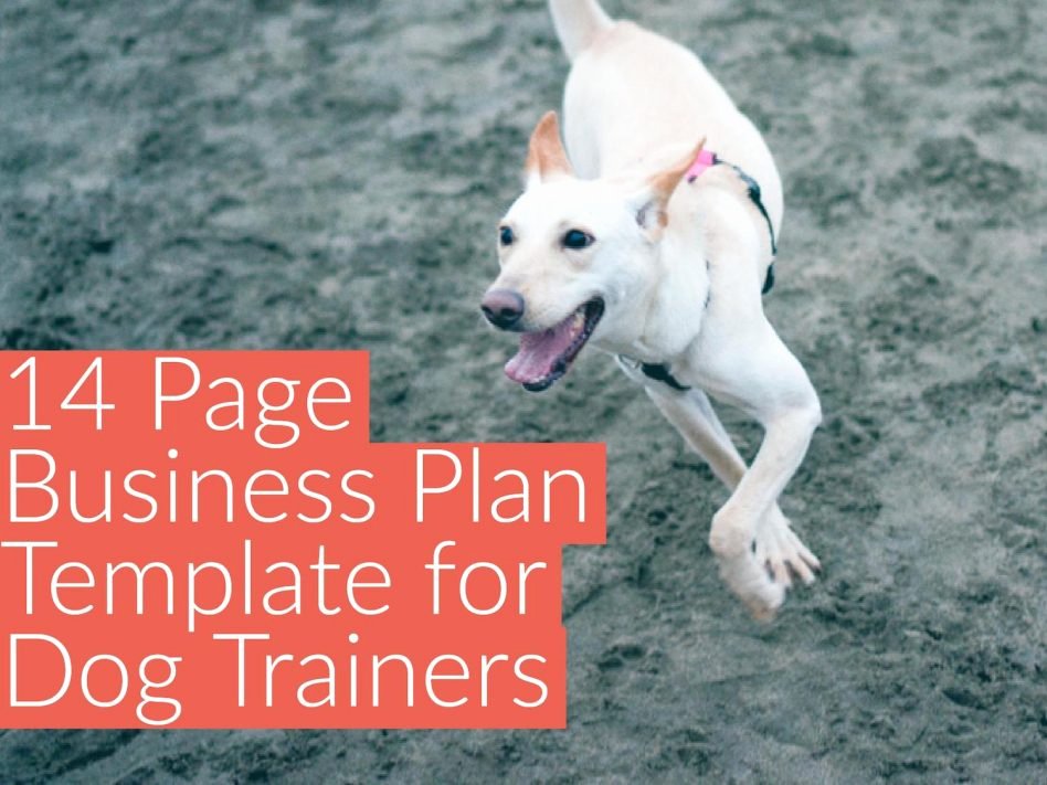 40 Dog Training Plan Template Hamiltonplastering