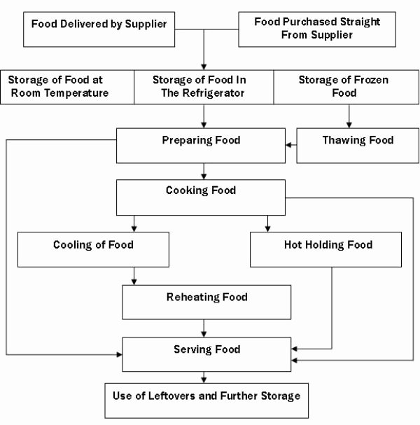 Food Safety Plan Template Lovely Haccp Plan Template Hamiltonplastering