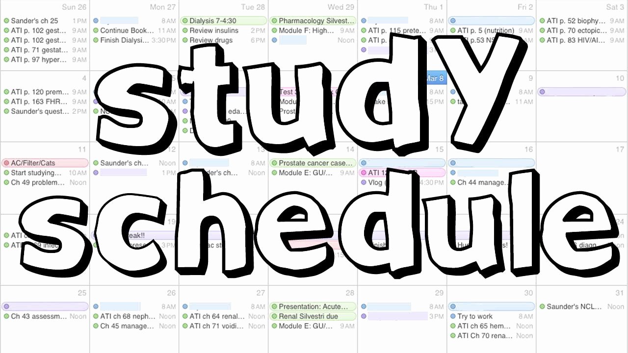 Nclex Study Plan Template Awesome How To Set Your Mcat Study Schedule Hamiltonplastering