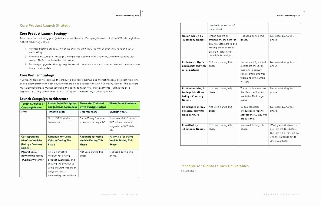 40 Public Relations Plan Template Hamiltonplastering