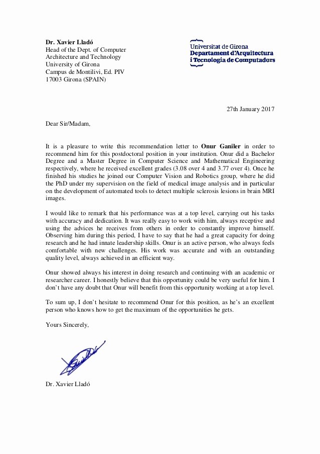 30 Recommendation Letter For Phd Hamiltonplastering