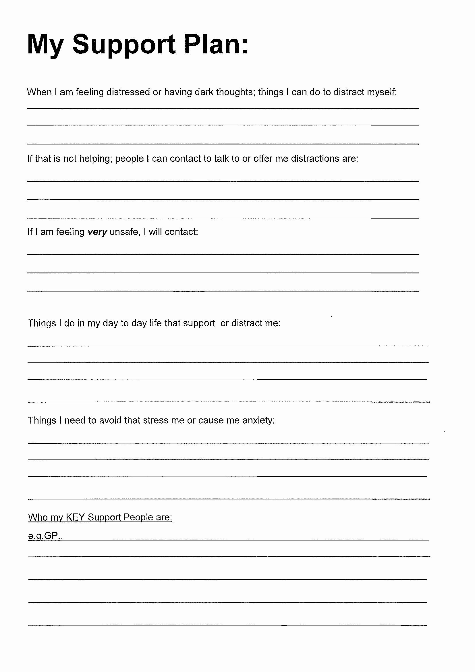 30 Safety Plan Template For Youth Hamiltonplastering