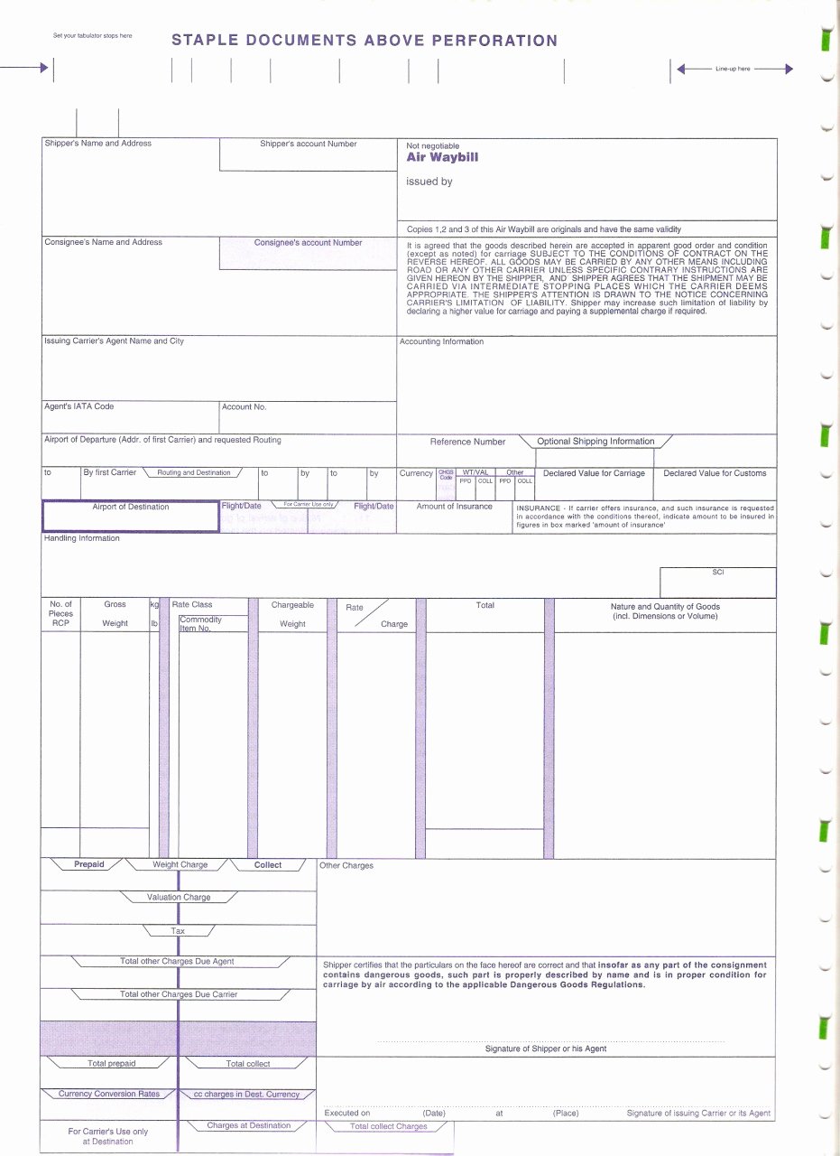 35 Shipper Letter Of Instruction Dhl Hamiltonplastering